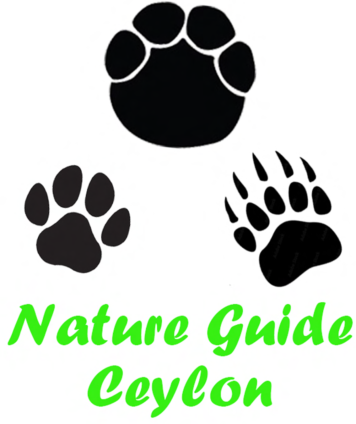 Nature Guide Ceylon - Home